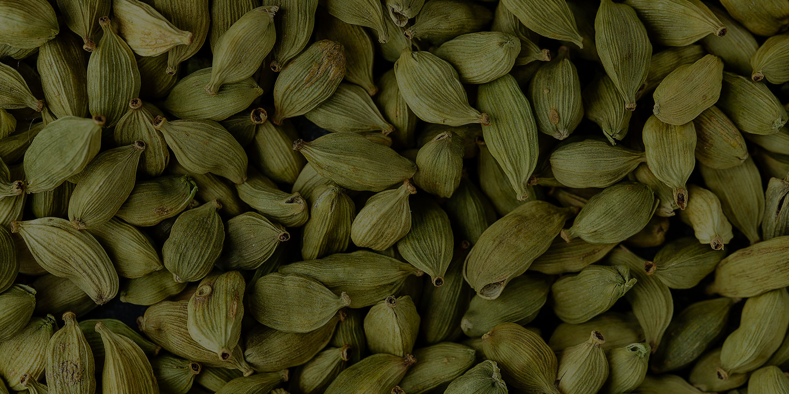 The Cardamom: A Fragrant Journey through History - Truly Spices House
